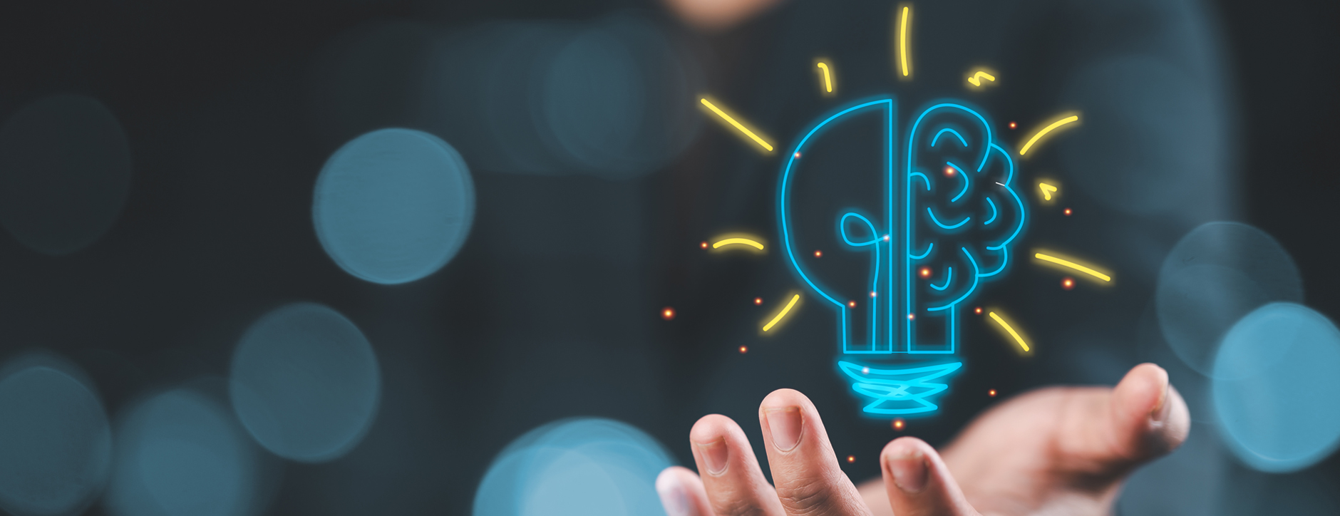 NZ Funds - Investments